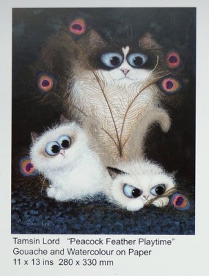 Peacock Feather Playtime by Tamsin Lord – Society Of Feline Artists
