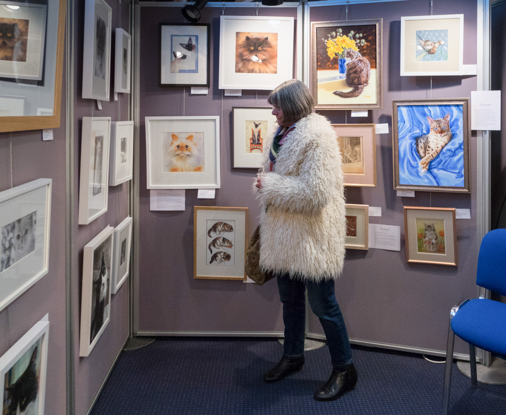 Cats Protection Exhibition Photos – Society Of Feline Artists