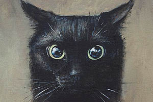 S.O.F.A. Members Listings – Society Of Feline Artists