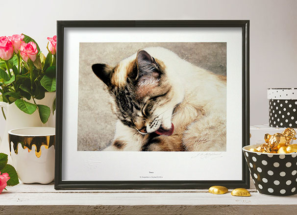 Tosca Comes In From The Storm – Society Of Feline Artists