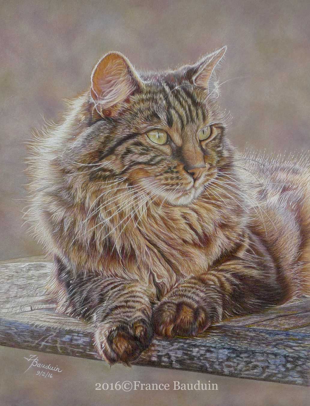 Artist Interview: France Bauduin – Society Of Feline Artists